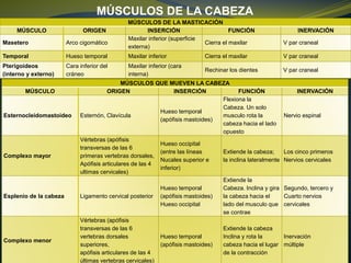 Unidad iv. el sistema muscular | PPTX