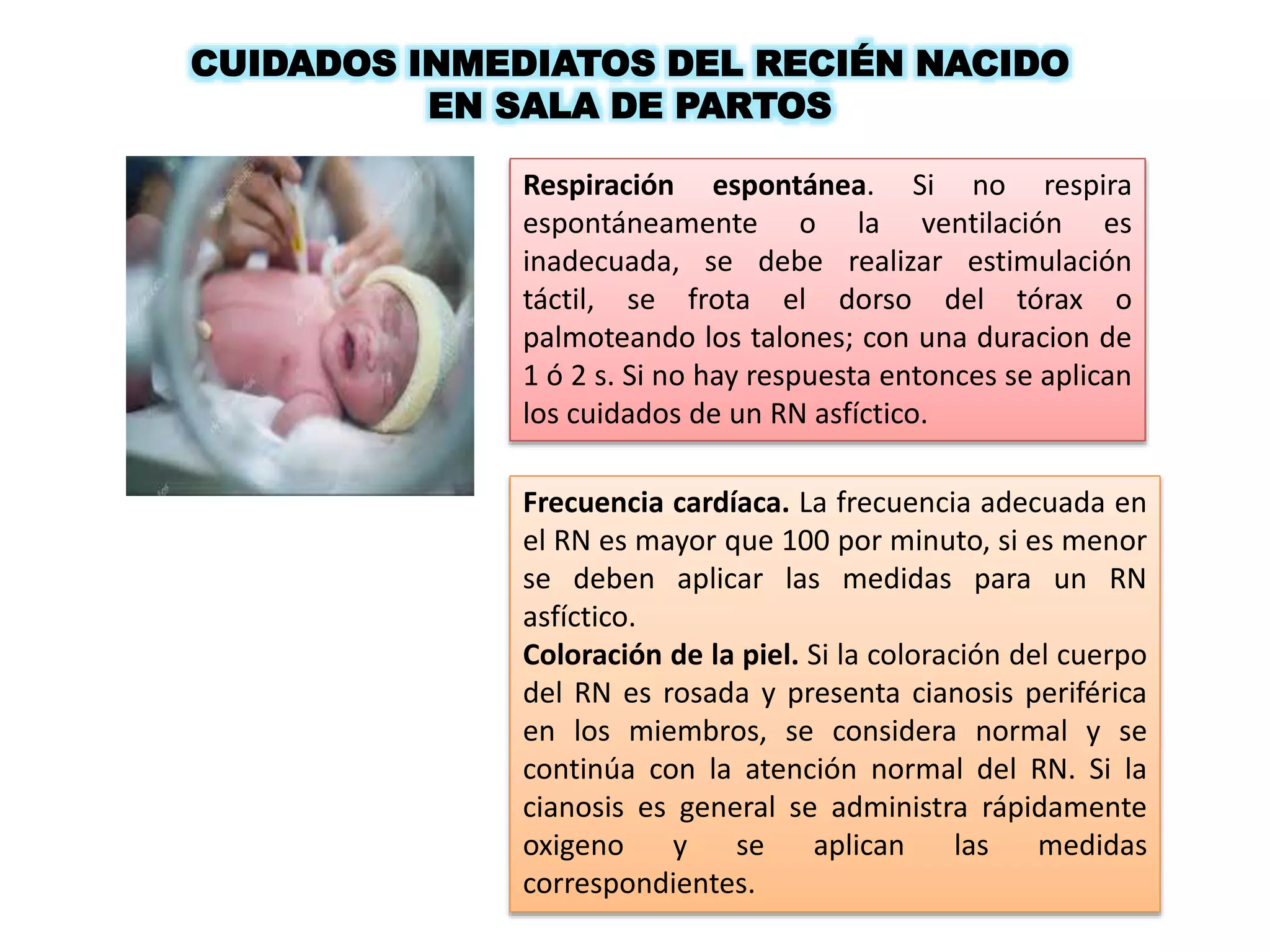 cuidados del recien nacido | PPTX