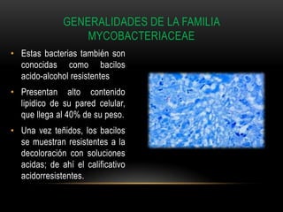 Estructura Celular De Las Micobacterias