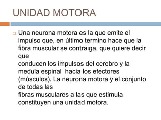 Unidad motora y sinapsis neuromuscular | PPTX