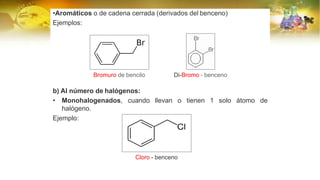 UNIDAD Nº1 HALOGENUROS DE ALQUILO.pptx