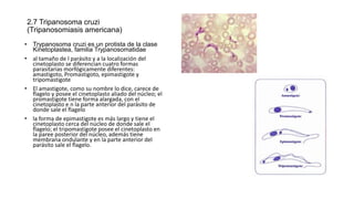 Unidad No. 2 Protozoario intestinales, de sangre y tejidos ...