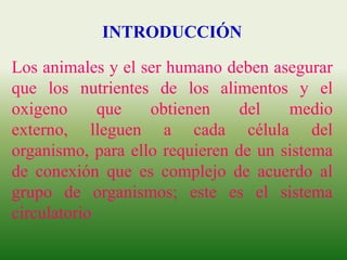 Unidad tematica | PPTX