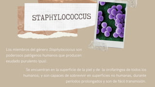infecciones bacterianas | PDF