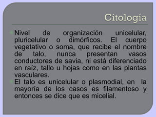 Unidad VI Reino Fungi | PPT