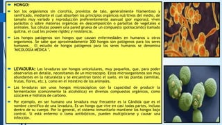 UNIDAD V MICOLOGIA.pdf