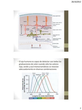 color | PDF