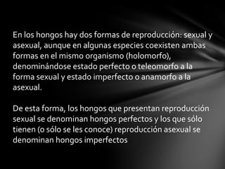 Morfologia y ultraestructura de hongos y levaduras | PPTX