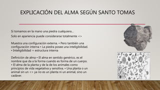 Unidad y dualidad del ser humano | PPTX