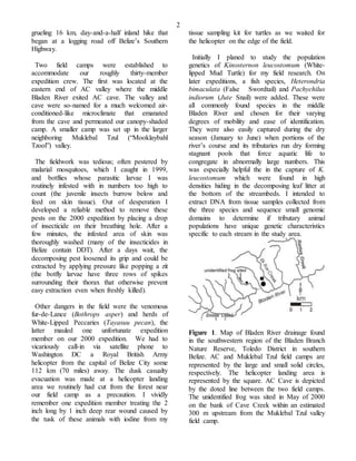 Jack Corbo Unidentified Frog Manuscript | PDF