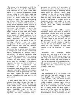 Jack Corbo Unidentified Frog Manuscript | PDF