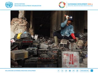 UNIDO: Circular Economy and Sustainable Industrialization Pathways in the Developing World | PDF