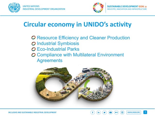 UNIDO: Circular Economy and Sustainable Industrialization Pathways in ...