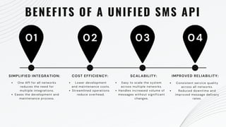 Unification of SMS API in Pakistan | Best SMS API Service Provider | PDF