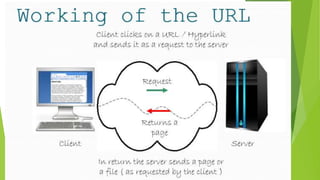 Uniform Resource Locator (URL) | PPTX