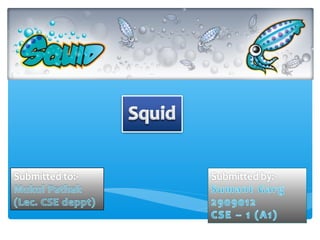 Squid Server | PPT