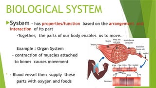 unifying themes of life in earth life and | PPTX