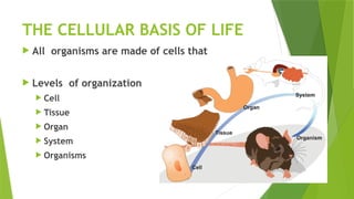 unifying themes of life in earth life and | PPTX