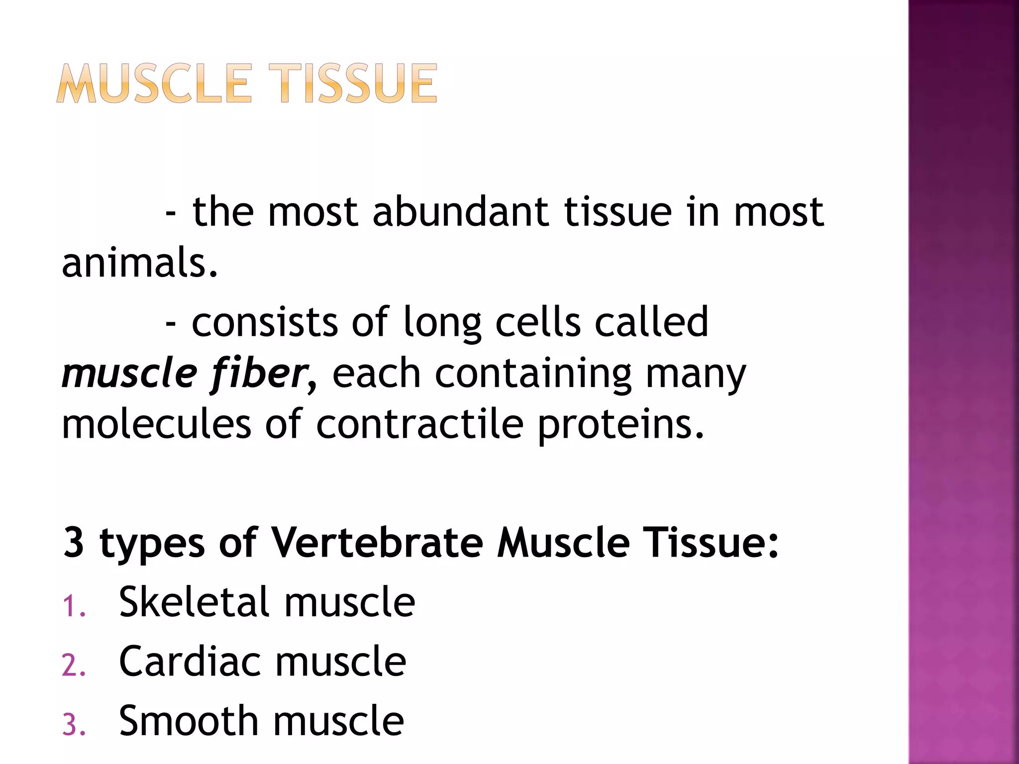 Unifying concepts of animal structure and function | PPTX
