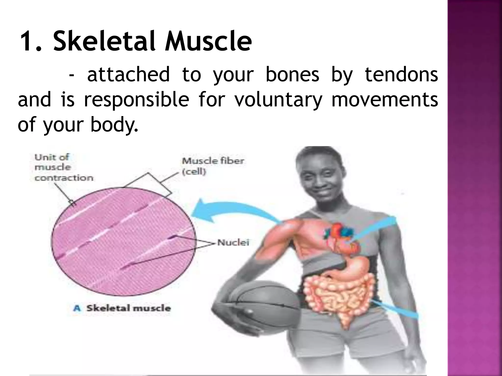 Unifying concepts of animal structure and function | PPTX