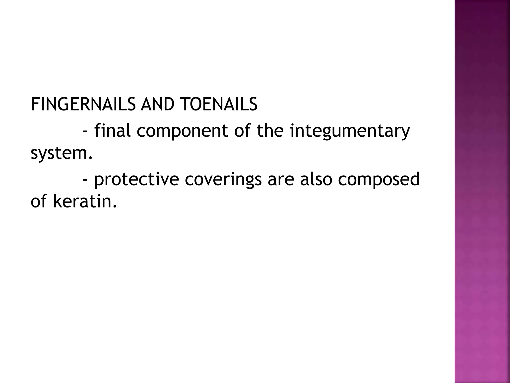Unifying concepts of animal structure and function | PPTX
