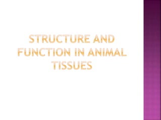Unifying concepts of animal structure and function | PPTX