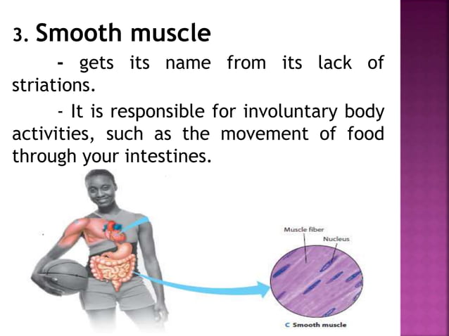 Unifying concepts of animal structure and function | PPTX