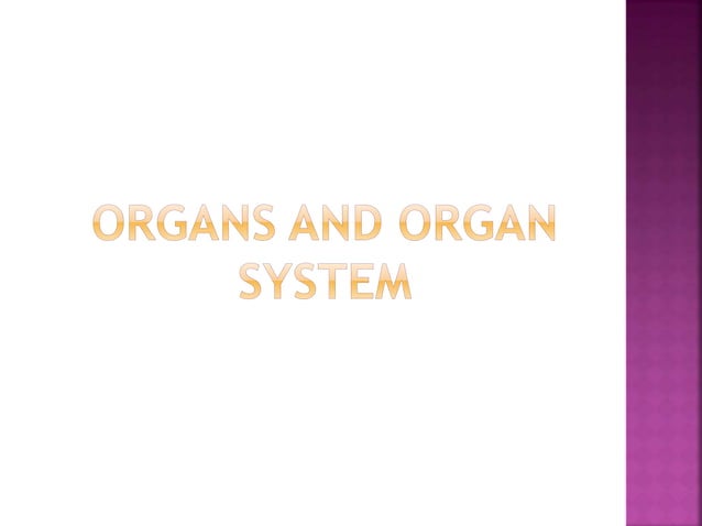 Unifying concepts of animal structure and function | PPTX