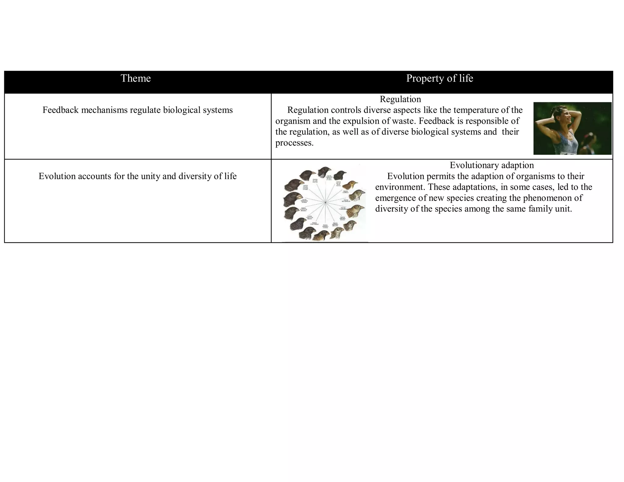 Unifying themes | PPT