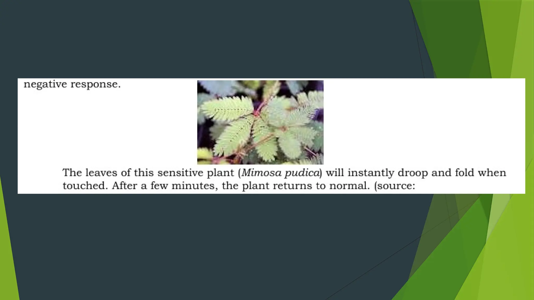 Unifying Themes and Concepts in Biology.pptx