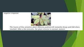 Unifying Themes and Concepts in Biology.pptx