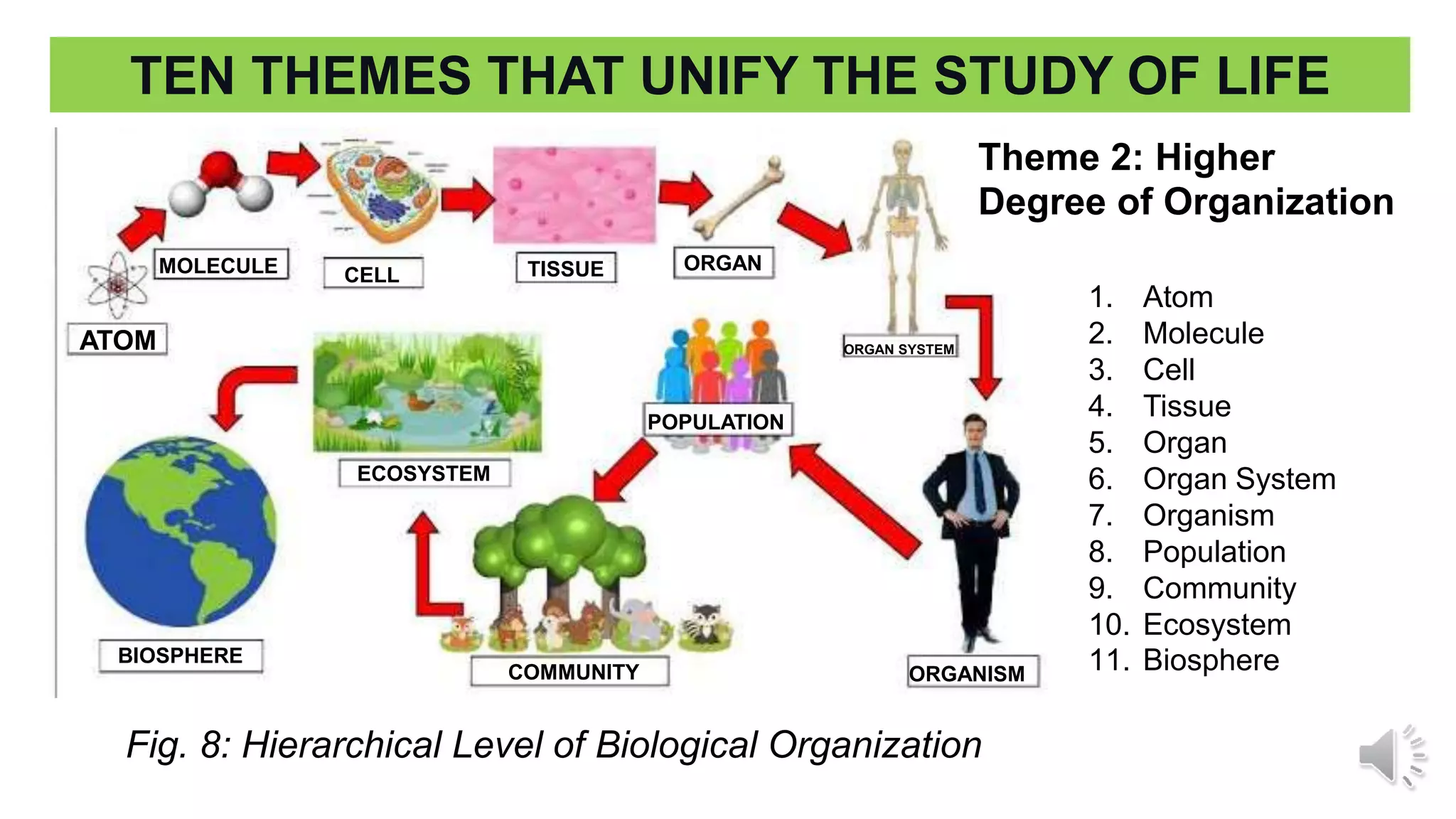 Unifying Themes in the study of life.pptx