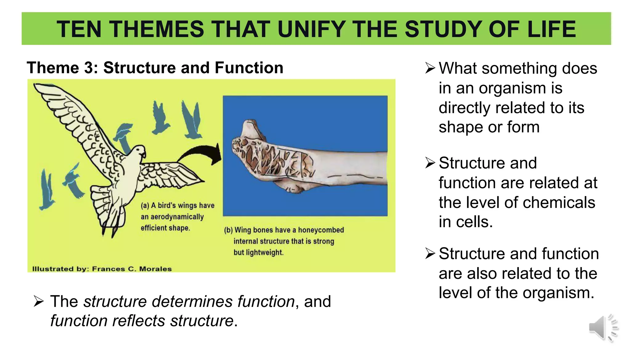 Unifying Themes in the study of life.pptx