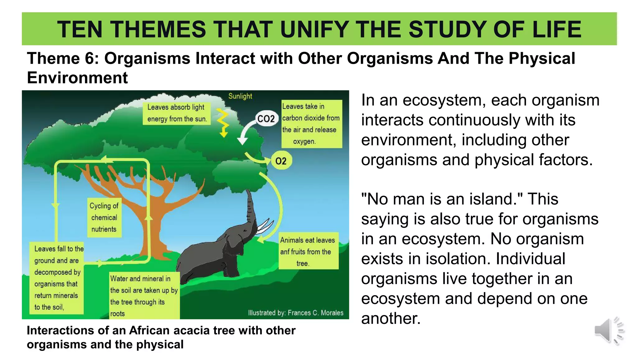 Unifying Themes in the study of life.pptx | Gardening | Home & Garden