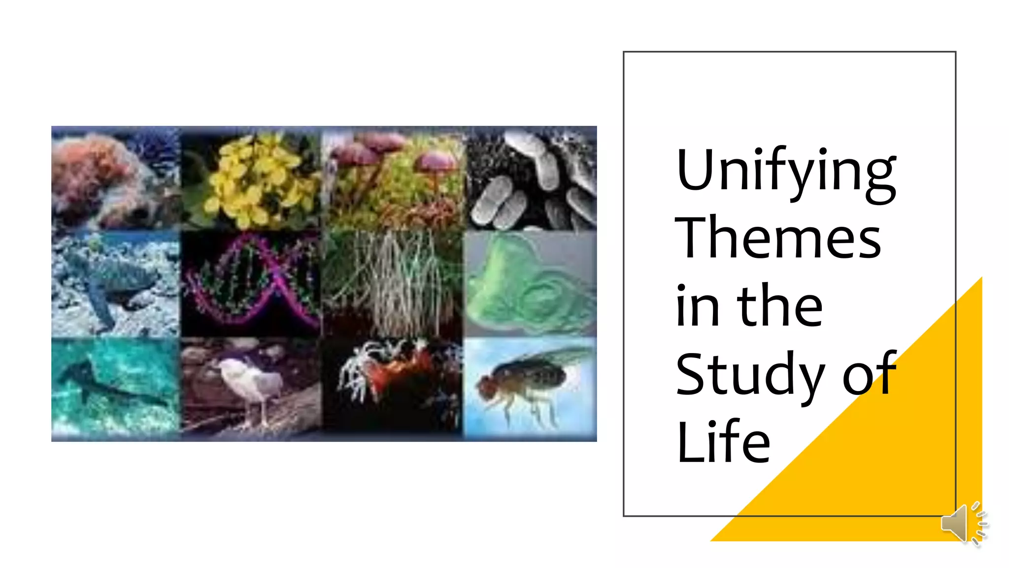 Unifying Themes in the study of life.pptx