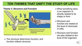 Unifying Themes in the study of life.pptx | Gardening | Home & Garden