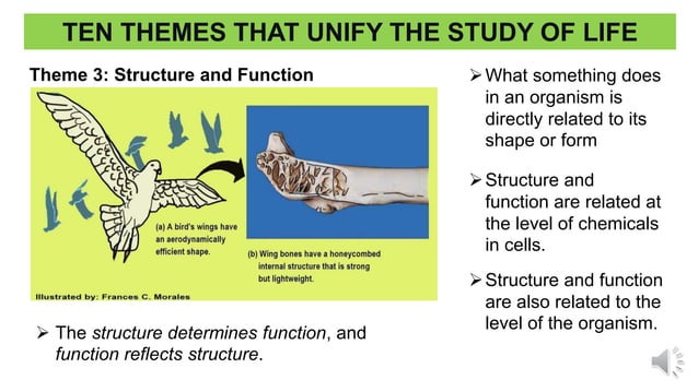 Unifying Themes in the study of life.pptx | Gardening | Home & Garden