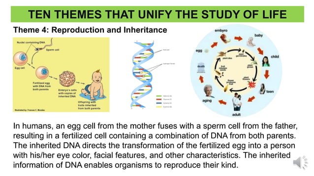Unifying Themes in the study of life.pptx | Gardening | Home & Garden