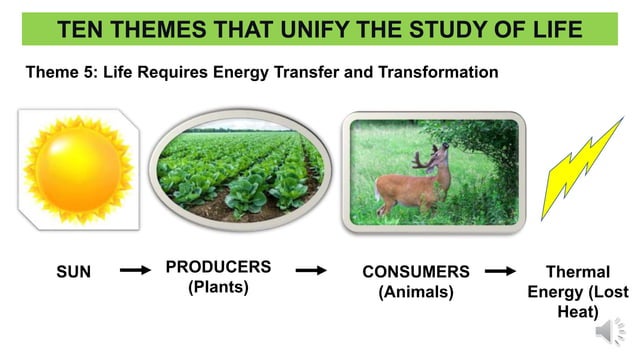 Unifying Themes in the study of life.pptx | Gardening | Home & Garden