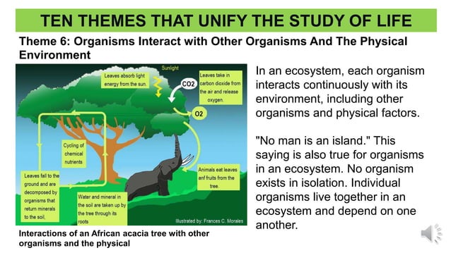 Unifying Themes in the study of life.pptx | Gardening | Home & Garden