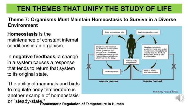Unifying Themes in the study of life.pptx | Gardening | Home & Garden