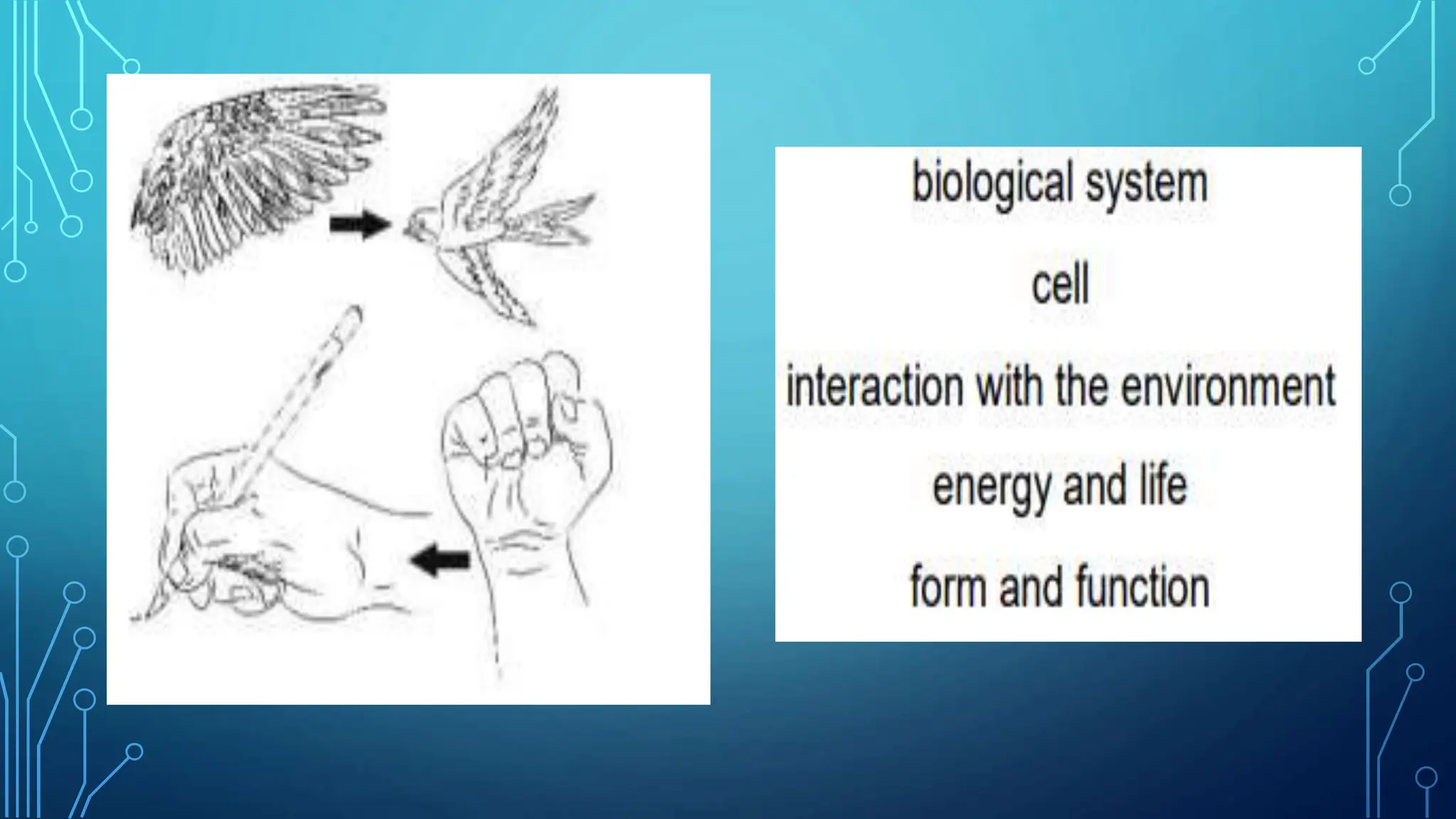 Unifying Themes in the Study of Life.pptx