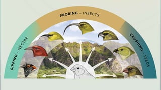 Unifying Themes in the Study of Life.pptx