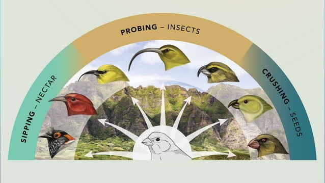 Unifying Themes in the Study of Life.pptx