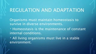 Unifying Themes in the Study of Life.pptx