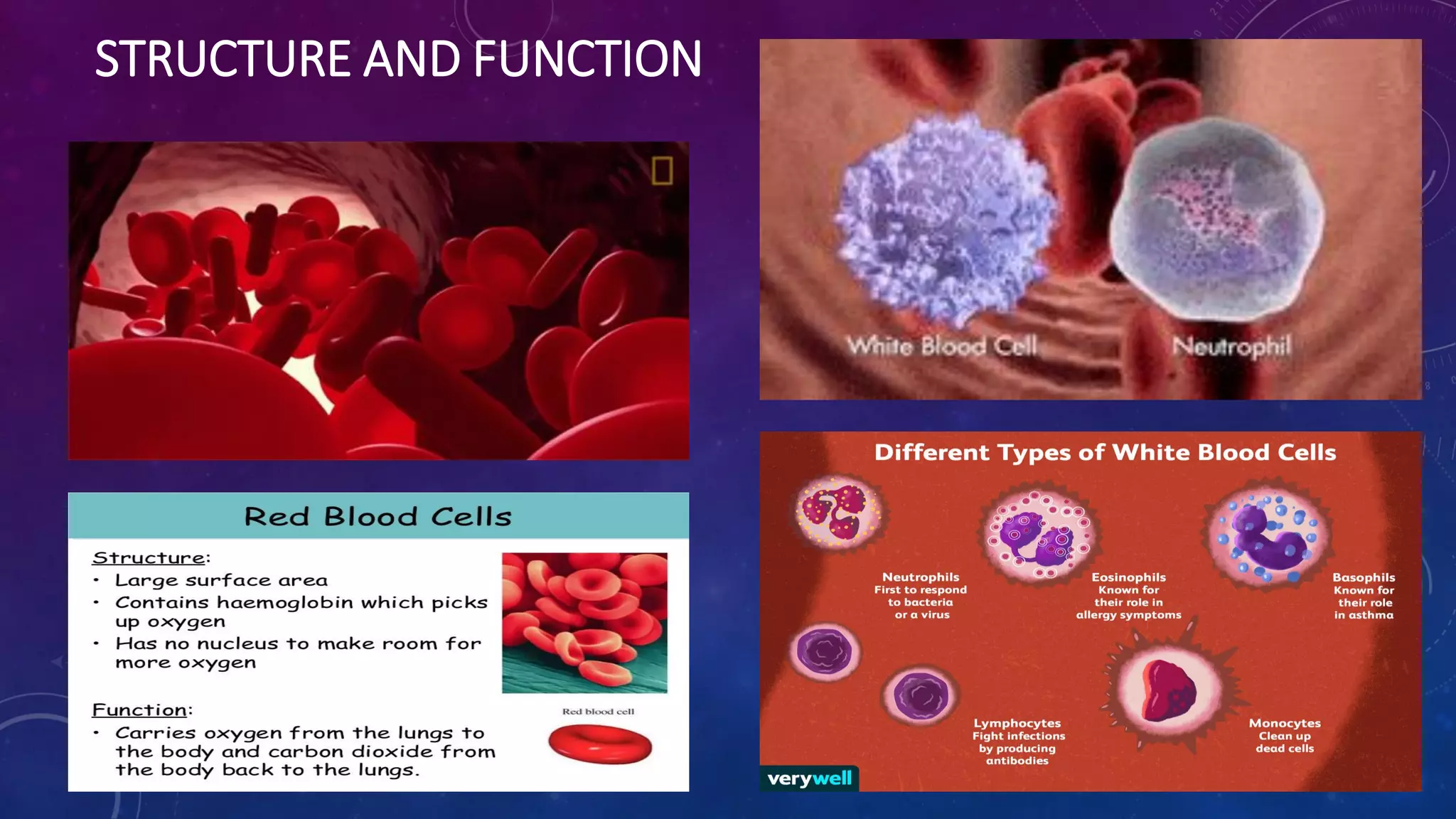 Unifying Themes in the Study of Life | PDF