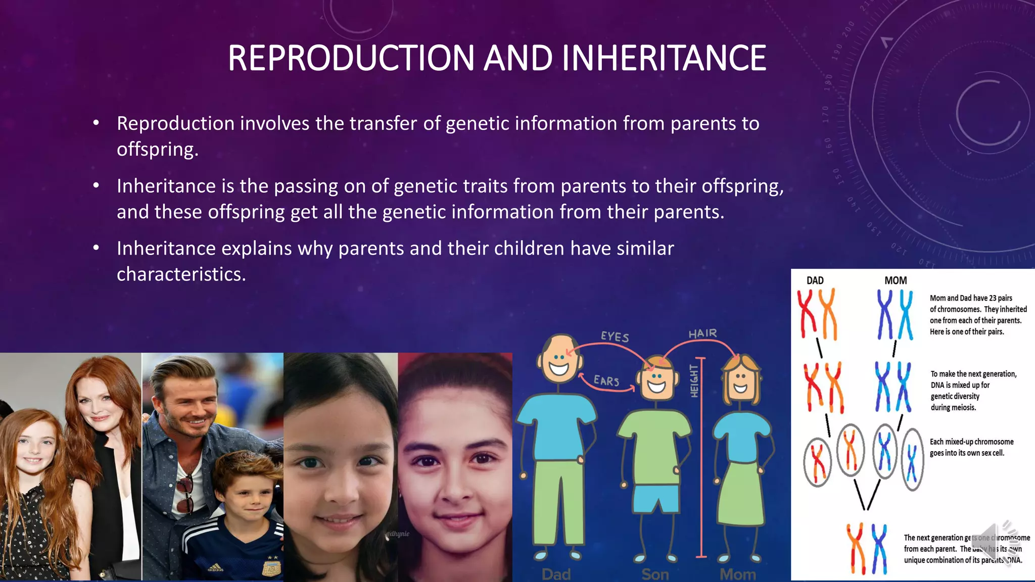 Unifying Themes in the Study of Life | PDF