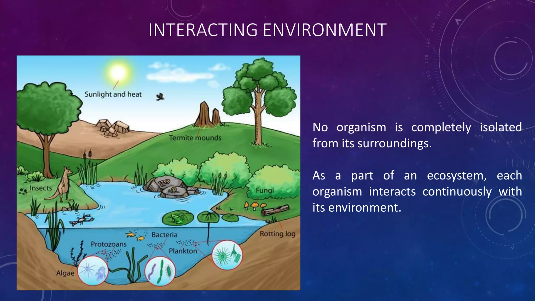 Unifying Themes in the Study of Life | PDF