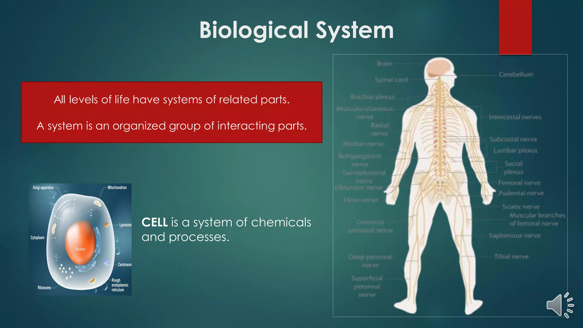 Unifying Themes in the Study of Life | PDF