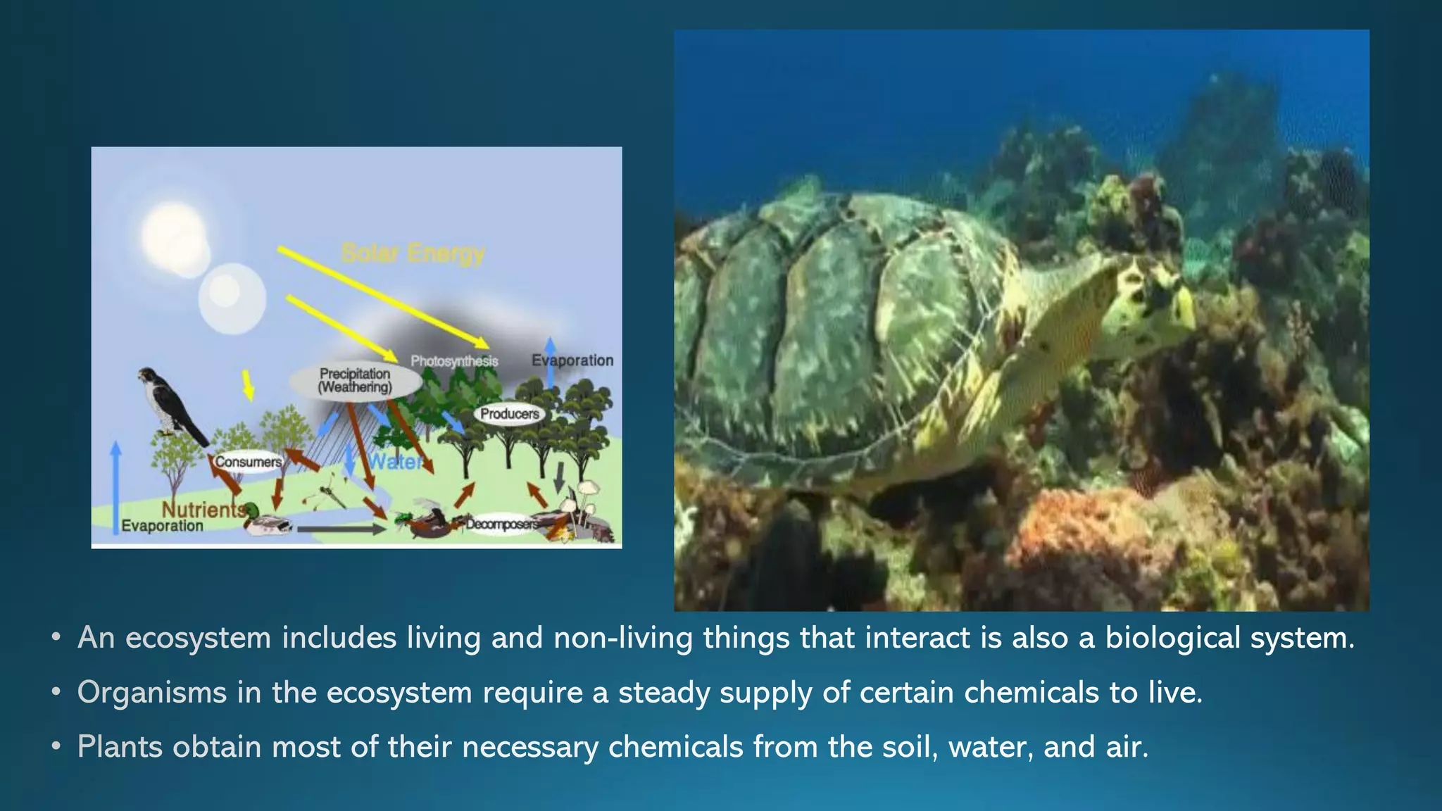 Unifying Themes in the Study of Life | PDF